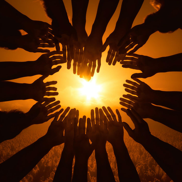 Understanding the Sunshine Connection – MITOLUX